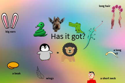 Animals body parts | Genially