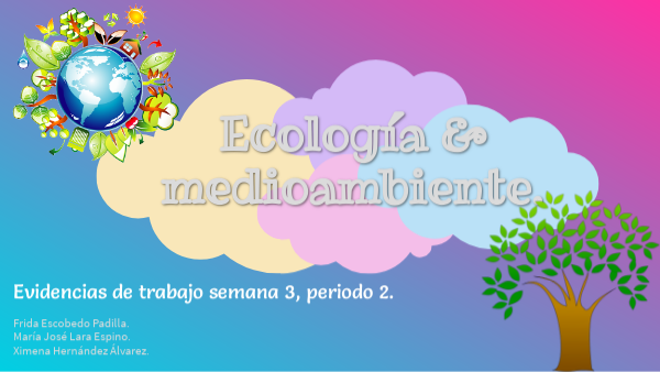 PRESENTACIÓN GENIAL VIBRANT | Genially