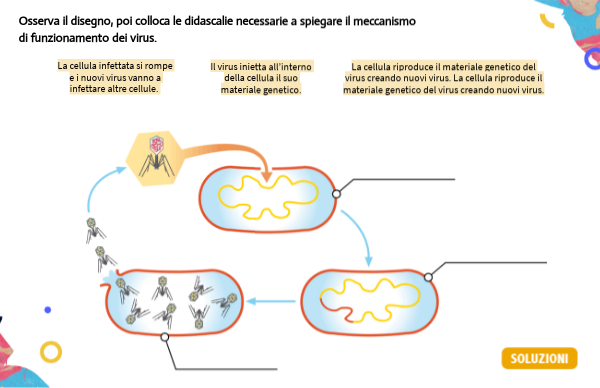 Come funziona un virus | Genially