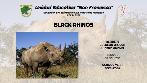 BLACK RHINOS | Genially