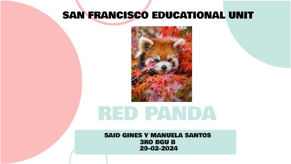 RED PANDA | Genially