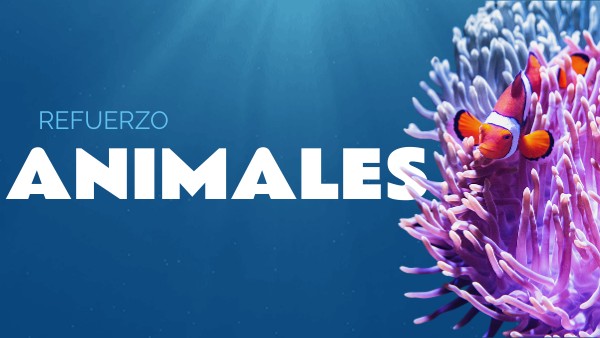 REFUERZO SEGUNDO GRADO | Genially