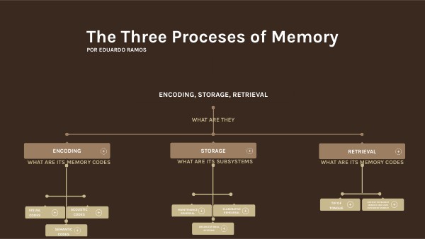 Map psychology | Genially