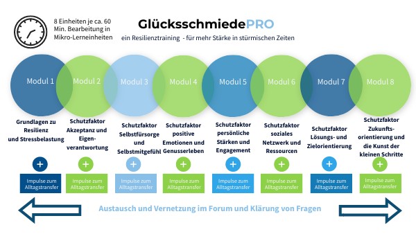 Resilienztraining GluecksschmiedePRO