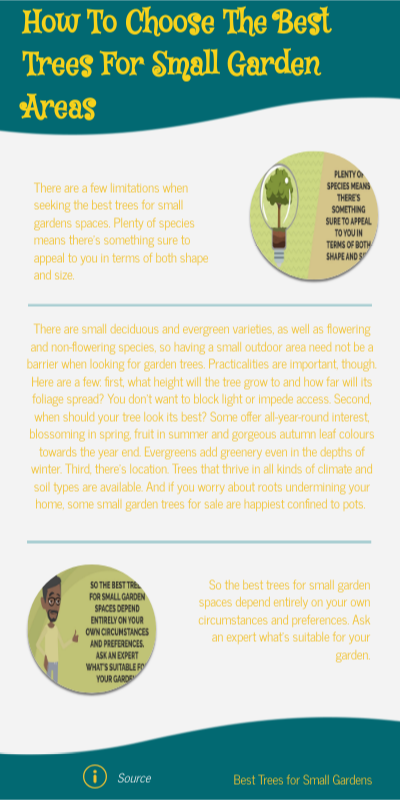 How To Choose The Best Trees For Small Garden Areas | Genially