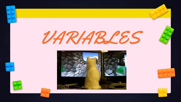 VARIABLES