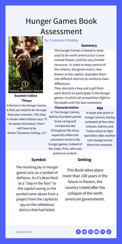 Hunger Games Book Assessment