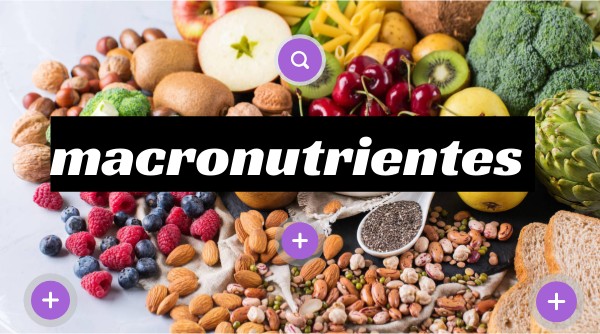 macronutrientes
