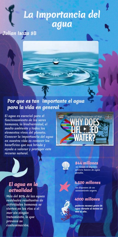 Importancia Del Agua Estilo Verde: LA IMPORTANCIA DEL AGUA COMO UNA