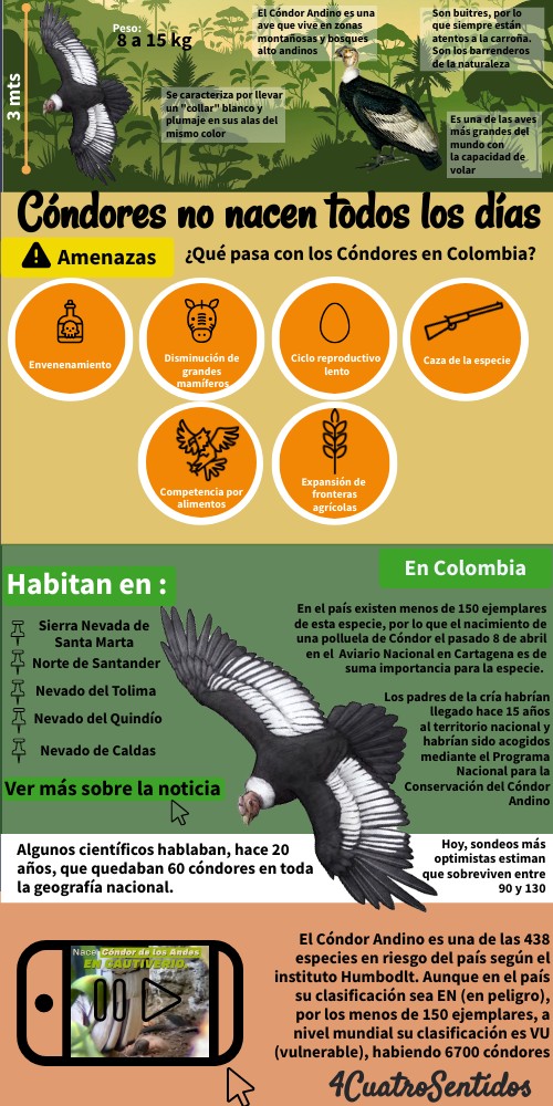 Cóndores no nacen todos los días | Genially