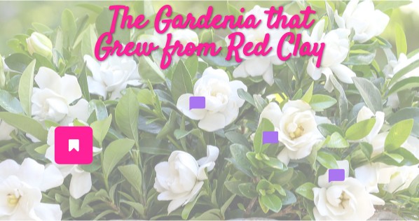 "The Gardenia that Grew From Red Clay" Interactive image