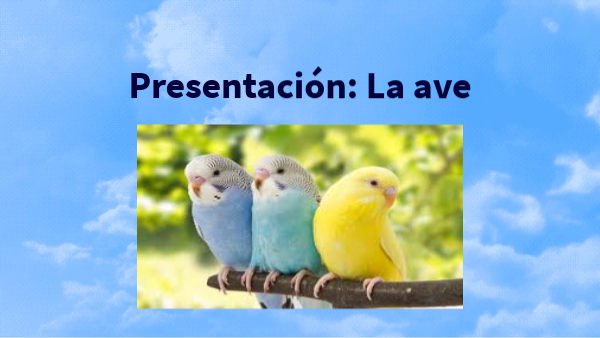 PRESENTACIÓN: Las Aves