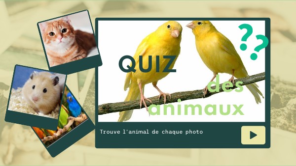 QUIZ_animaux