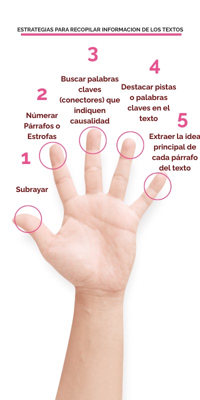 PROYECTO