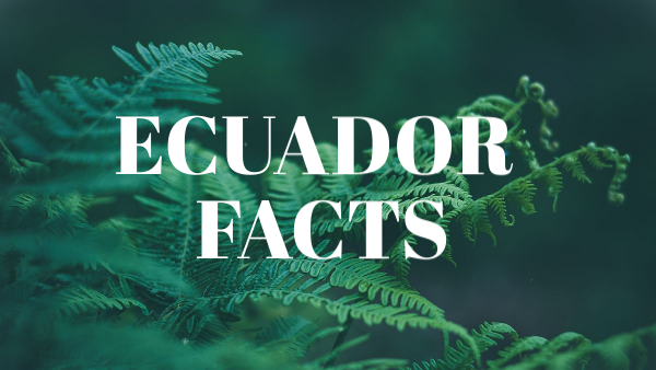 PROJECT 1 4TO EGB ECUADOR FACTS | Genially