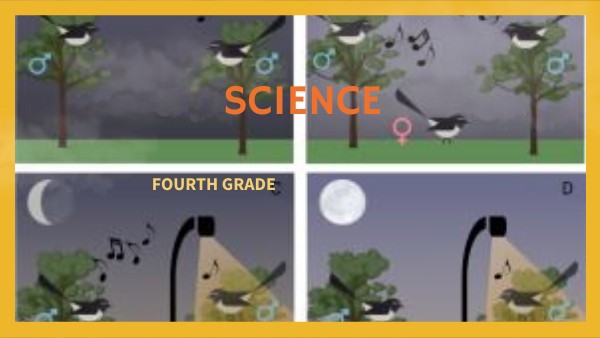 SOURCES OF LIGHT REINFORCEMENT | Genially