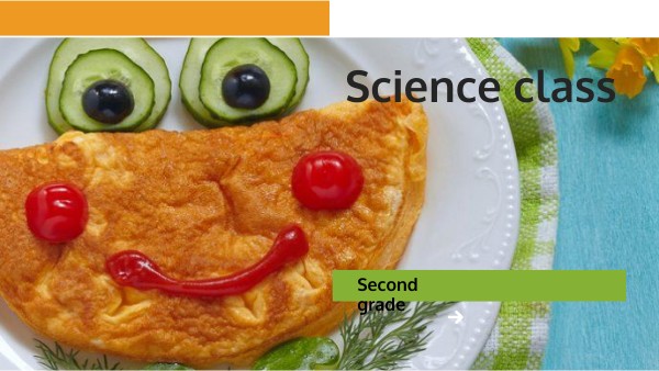 Different body coverings