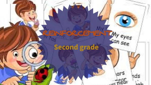 THE FIVE SENSES REINFORCEMENT | Genially