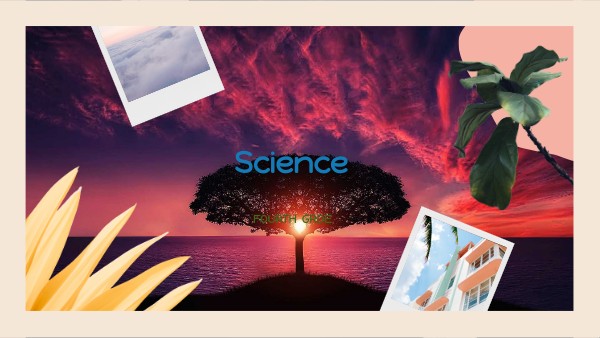 POLLINATION 4TH GRADE | Genially