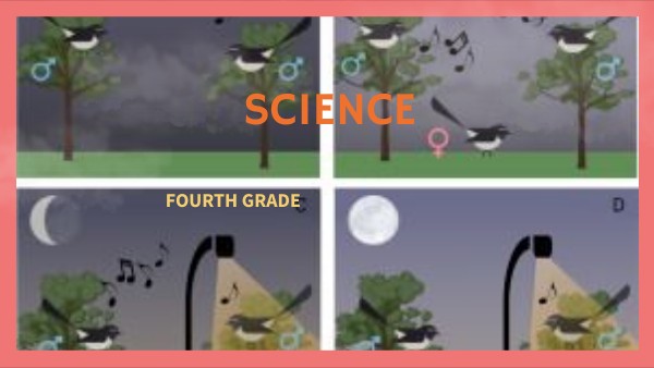 Natural and artificial light sources