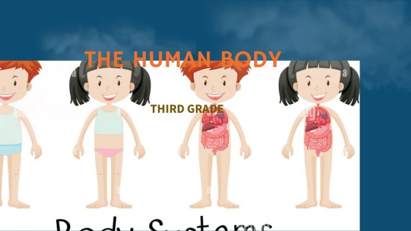 THE HUMAN BODY | Genially