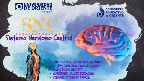 SNC - Sistema Nervioso Central