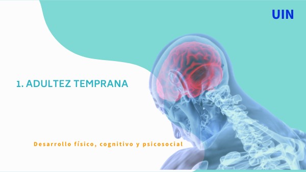 Desarrollo físico, cognitivo y psicosocial Adulto emergente