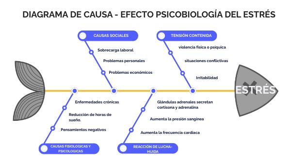 DIAGRAMA psicobiología del estrés | Genially