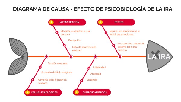 DIAGRAMA DE LA IRA | Genially