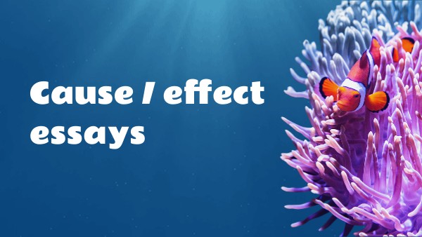 7 Cause and Effect Essays