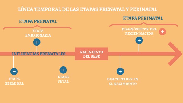 Línea temporal | Genially
