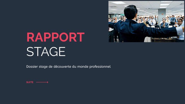 Rapport de stage | Genially