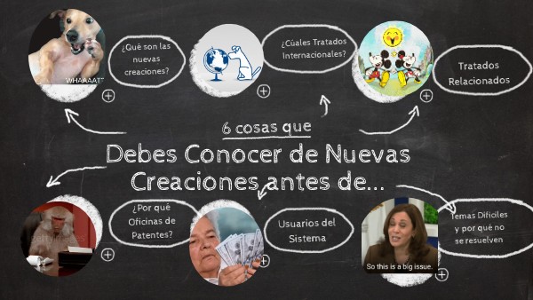 6 cosas que debes saber antes de....