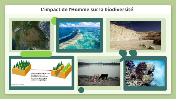 L'impact de l'homme sur la biodiversité | Genially
