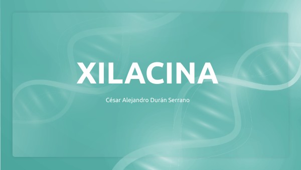 Xilacina