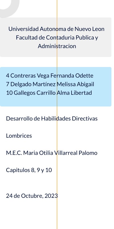 VERTICAL INFO ILLUSTRATION CORP