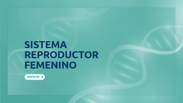 SISTEMA REPRODUCTOR FEMENINO 8º | Genially