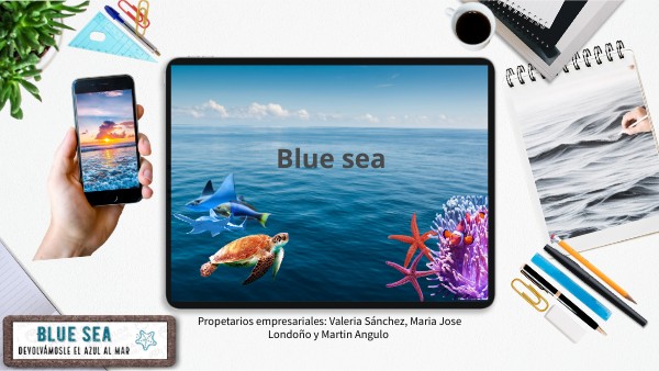 Blue sea empresa