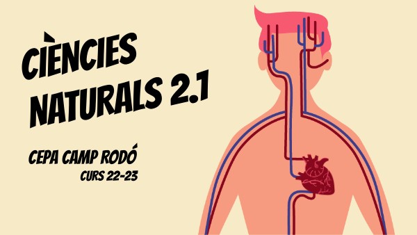 CN 2_1 23-24 (2n quadri)