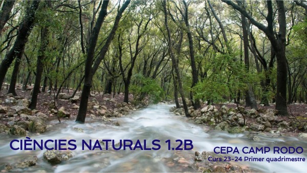 CN 1_2 (B) 23-24 (2n quadri)