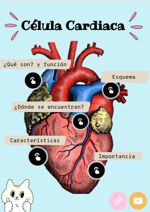 Célula cardiaca