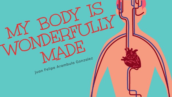 my body is wonderfully made