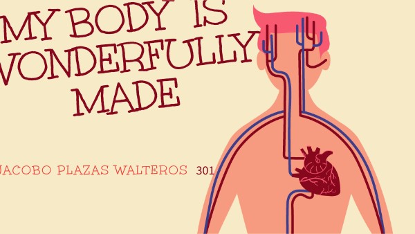 My body is wonderfully made