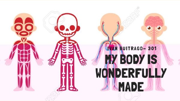 HUMAN BODY PRESENTATION