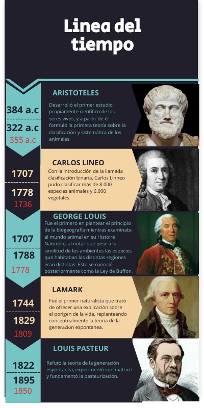 LINEA DEL TIEMPPO | Genially