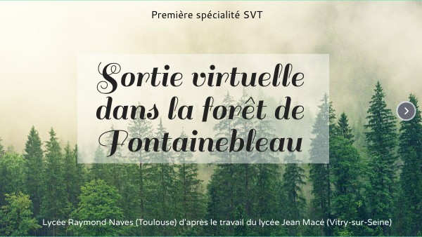 Sortie Virtuelle Fontainebleau | Genially