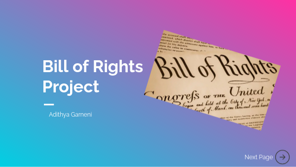 Bill Of Rights Project By Adithya Garneni