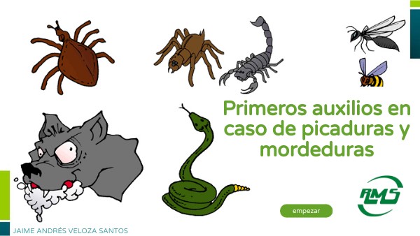 Primeros auxilios en caso de picaduras y mordeduras | Genially
