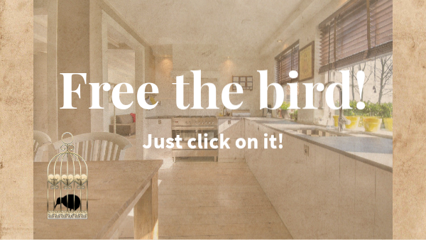 Free the bird | Genially