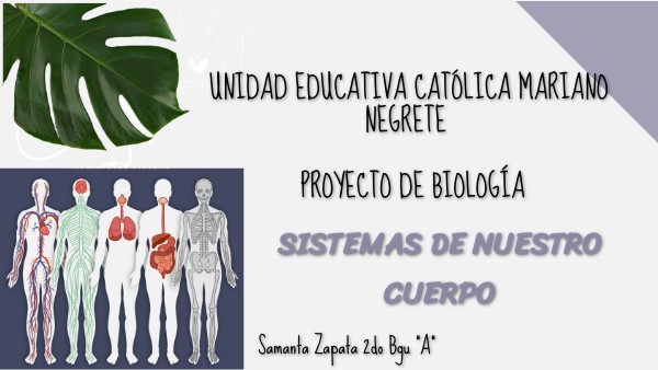 BIOLOGIA- SISTEMAS DEL CUERPO | Genially
